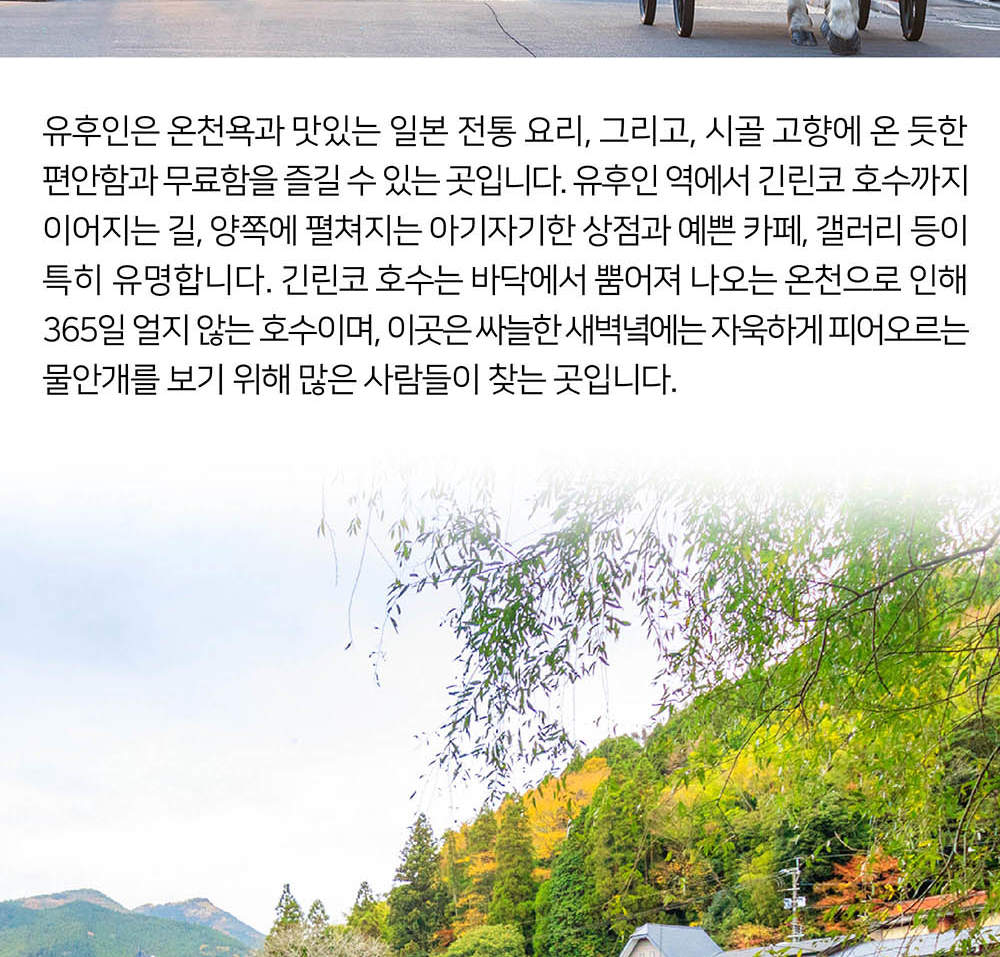 유후인 And 유후다케 And 벳부 유노하나 And 가마도지옥 일일 버스투어 한국어 가이드 후쿠오카 출발 클룩 Klook 한국